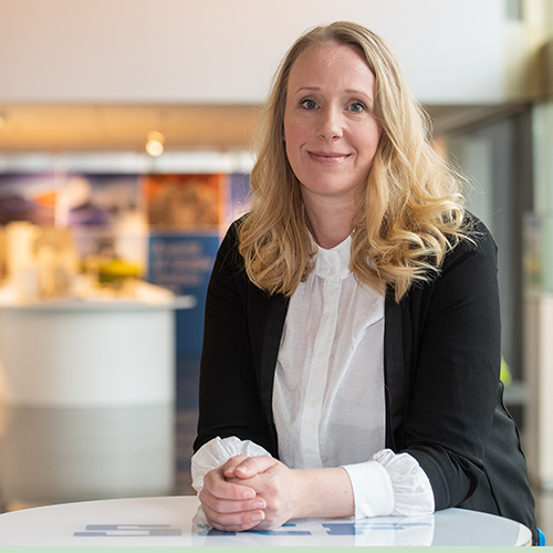 Vårmöte i Swedsoft med ny styrelse - Swedsoft